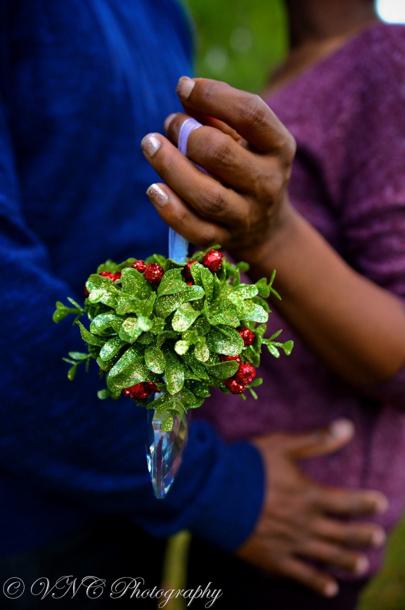 Merry Christmas & Mistletoes – VNC Photography